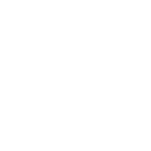 Team Archive - Rico Studio